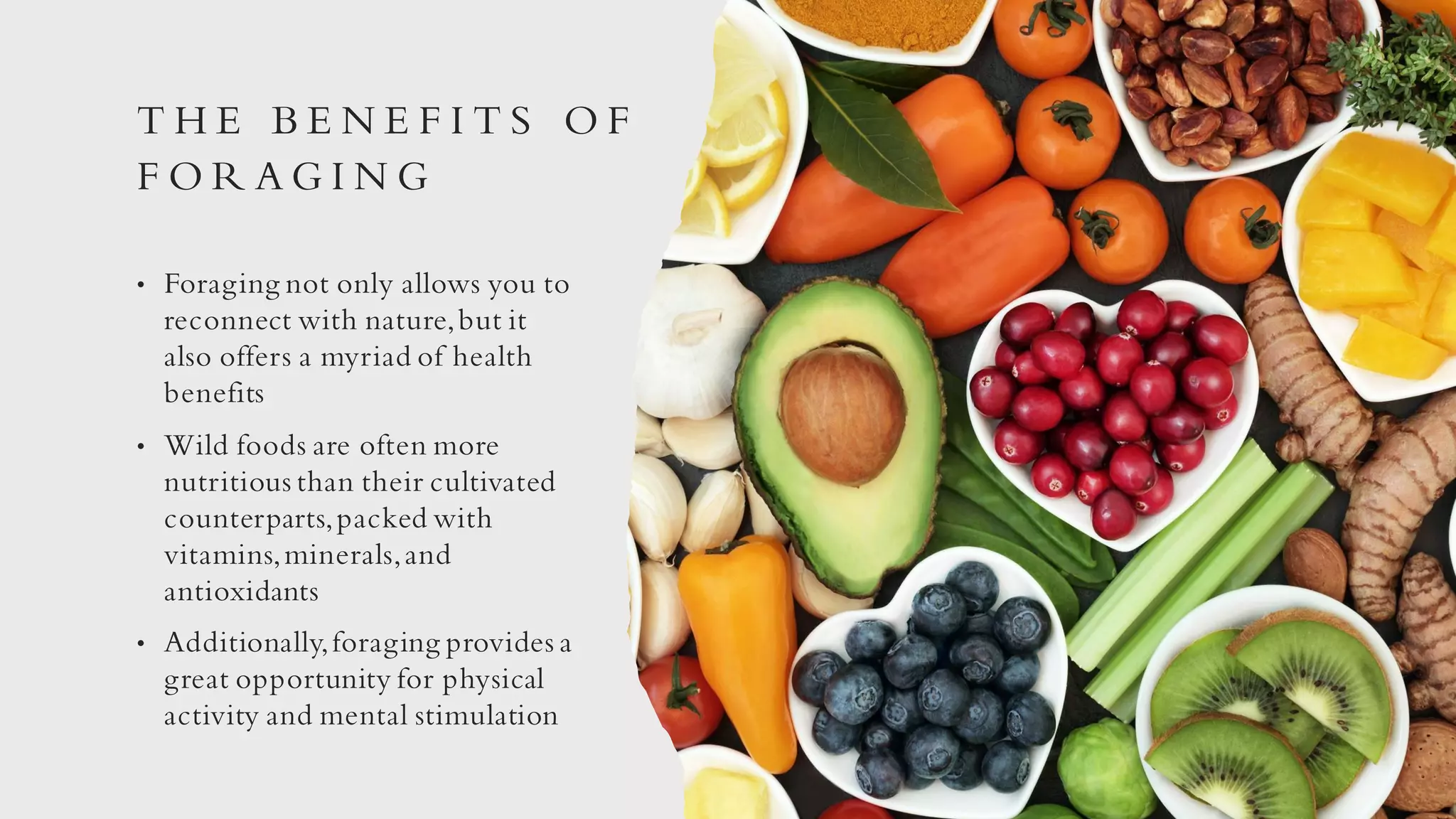 The Forager's Guide to Wild Foods | PPT