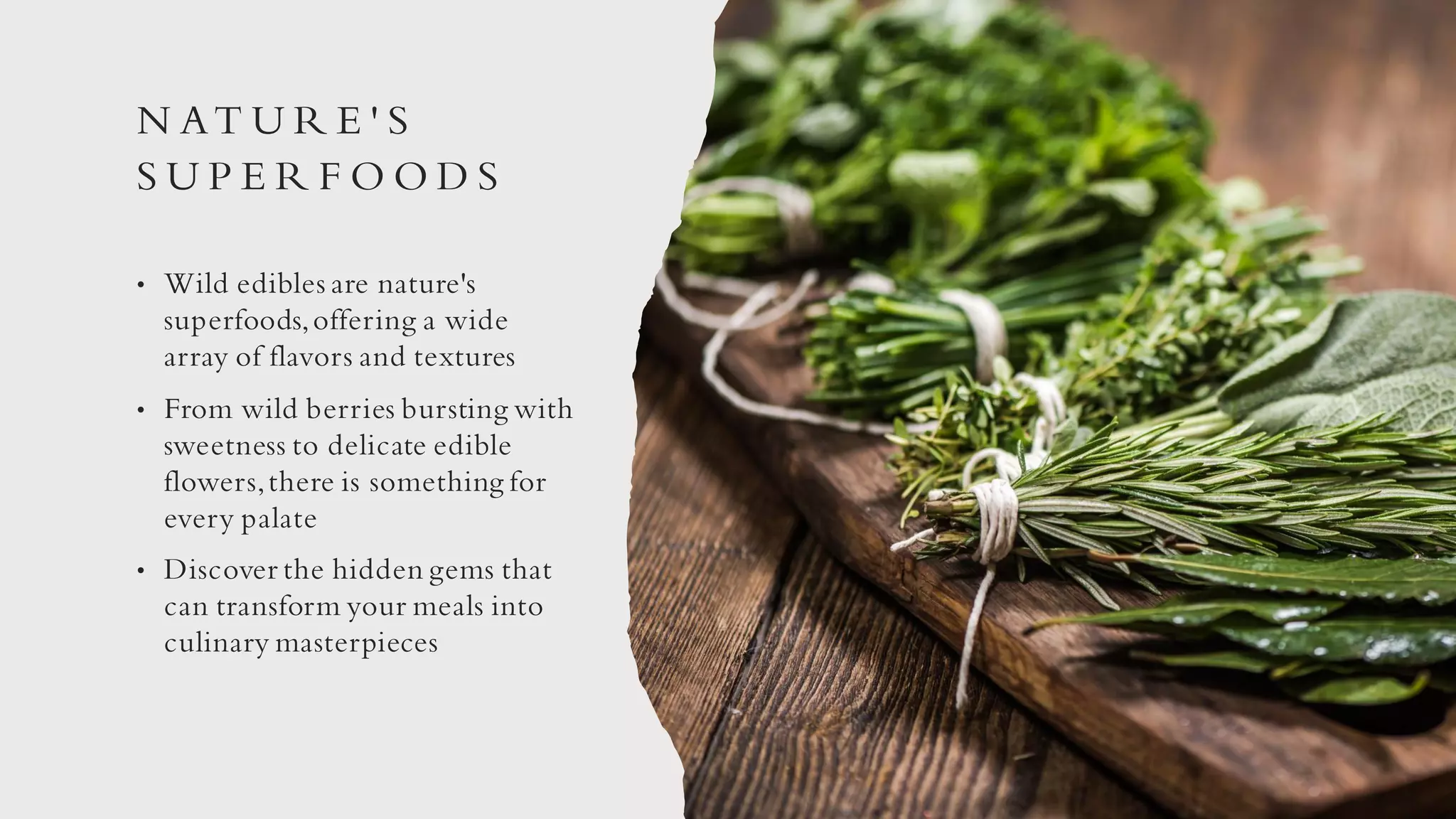 The Forager's Guide to Wild Foods | PDF