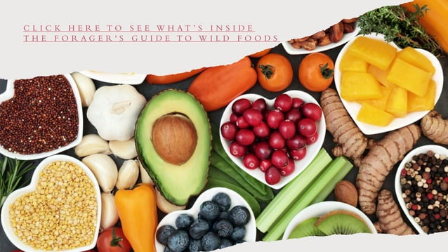 The Forager's Guide to Wild Foods | PPT