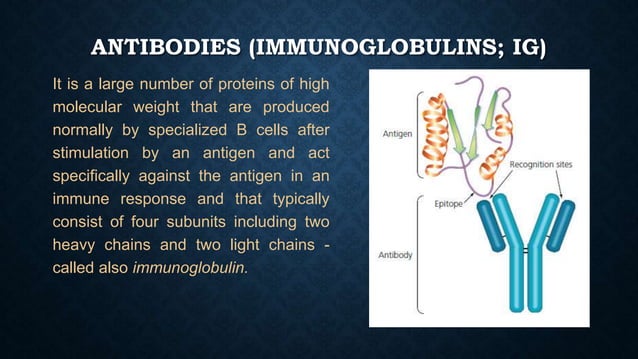 Immunostaining | PPTX | Chemistry | Science