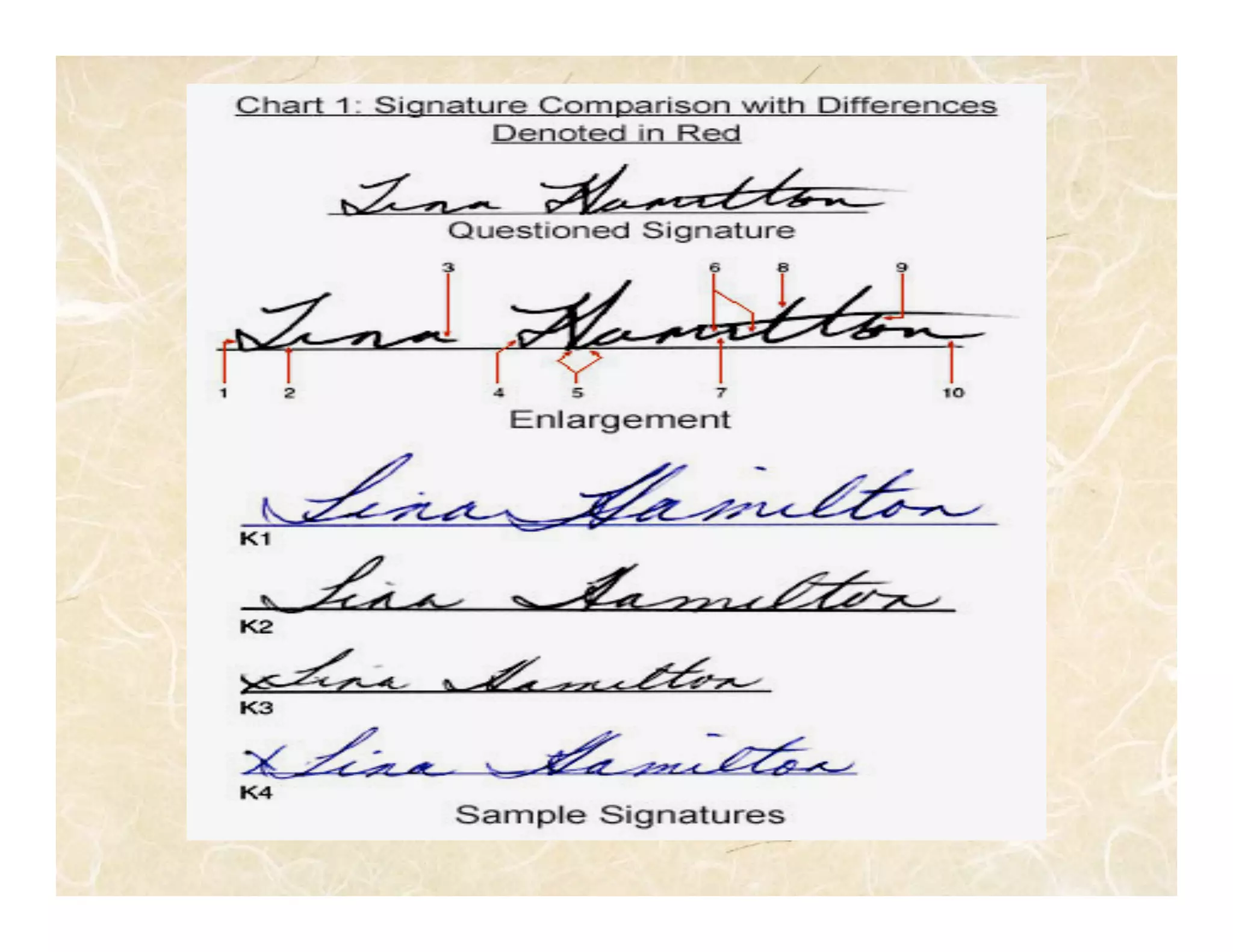 Document Analysis.pdf