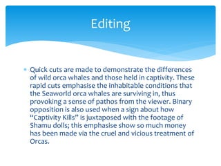 Documentary analysis of ‘blackfish’ | PPTX