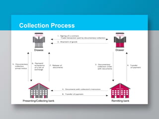 Documentary collection | PPTX