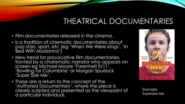 Documentary styles | PPTX