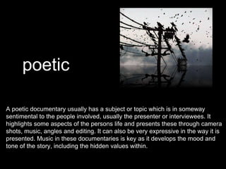 Documentary styles | PPTX