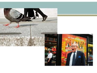 Documentary work | PPT