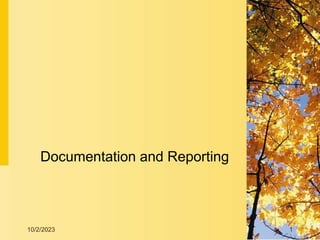 documentation_and_reporting.ppt