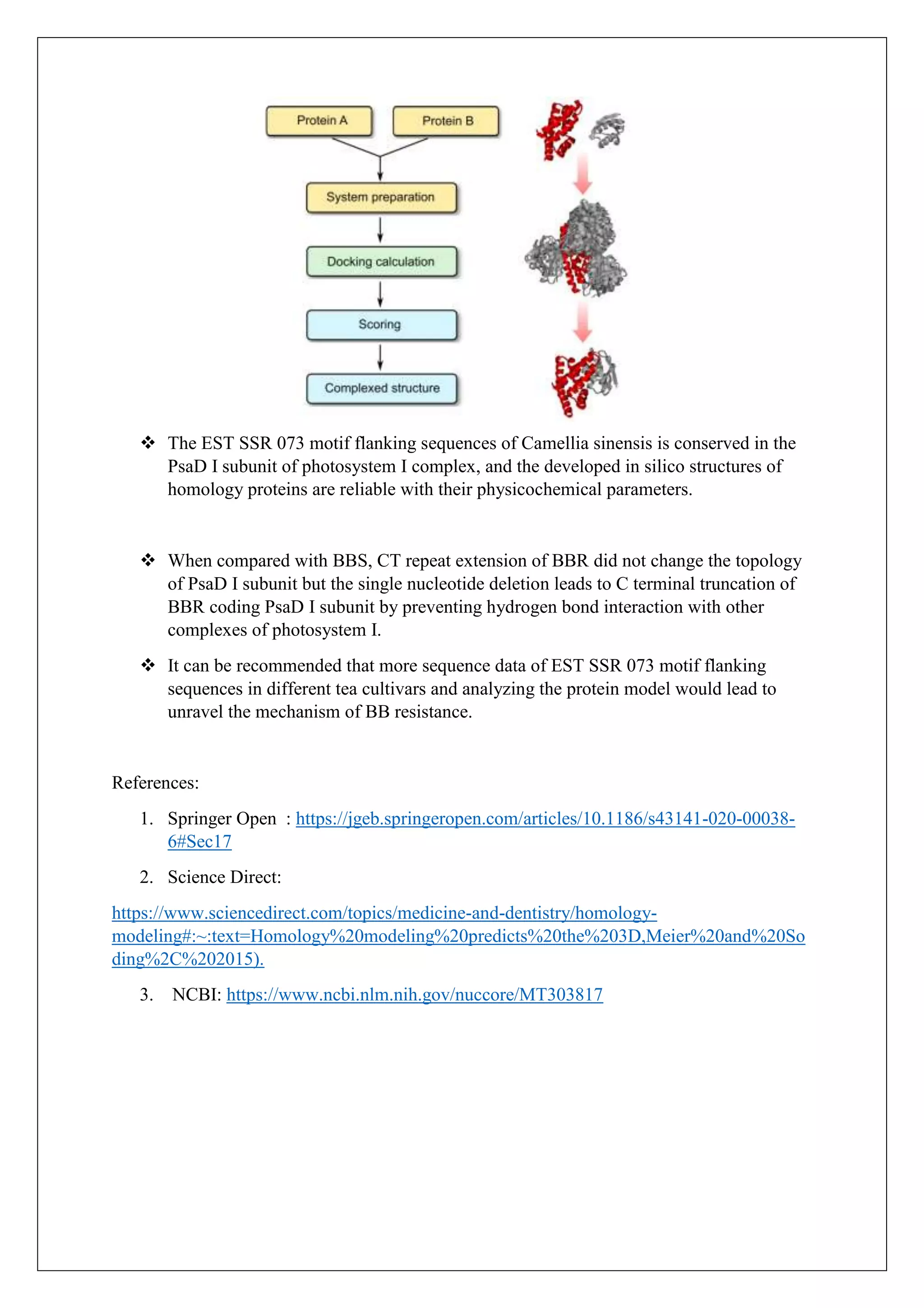 Documentation CC 03.docx