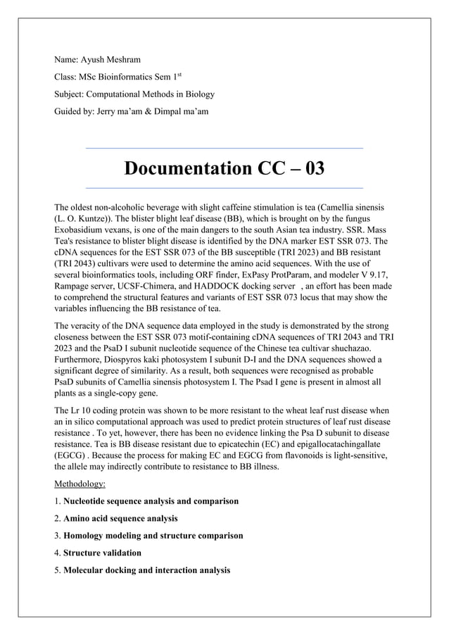 Documentation CC 03.docx