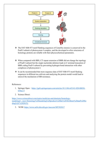 Documentation CC 03.docx
