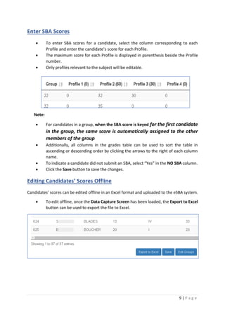 Documentation for e SBA application | PDF