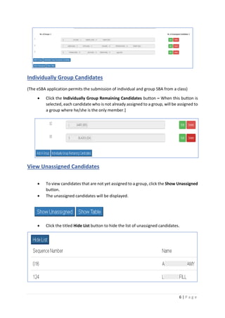 Documentation for e SBA application | PDF