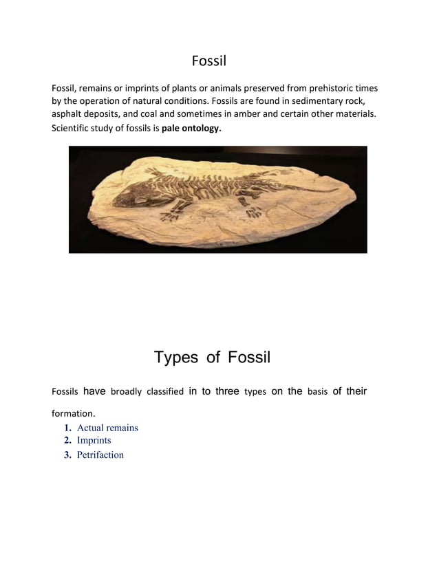 Fossils | PDF