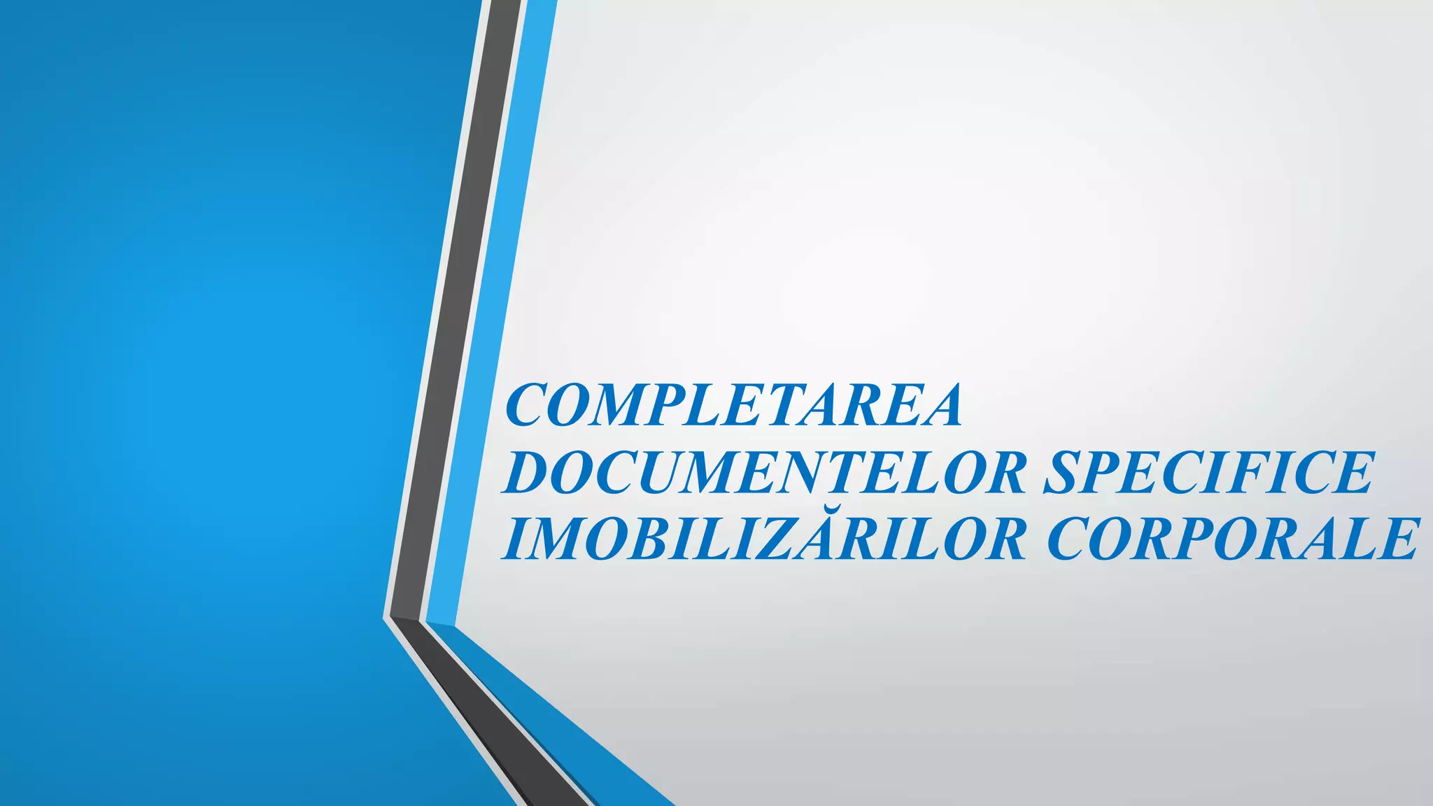 Documente - Active imobilizate | PPT