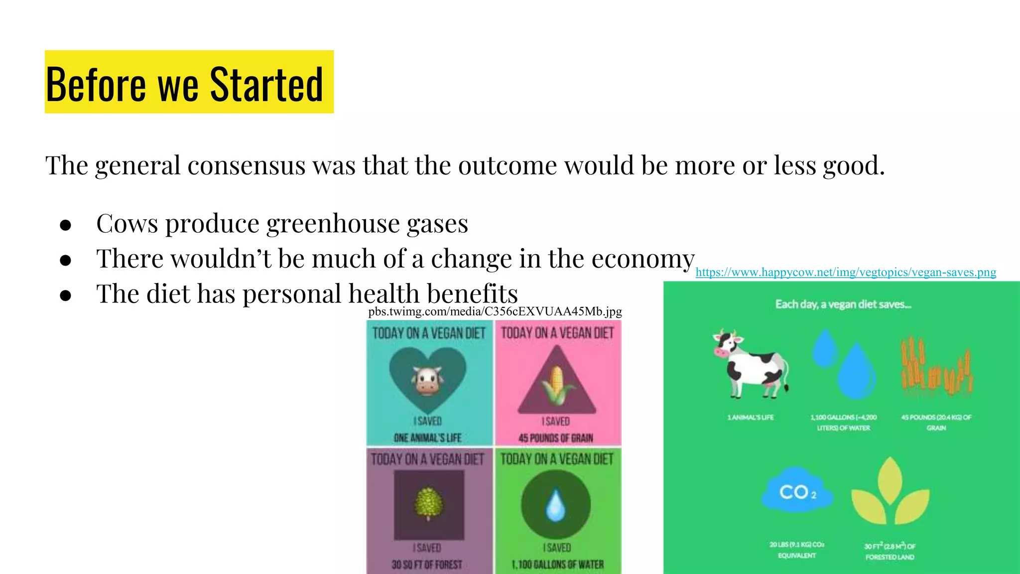 Documented essay presentation | PPT