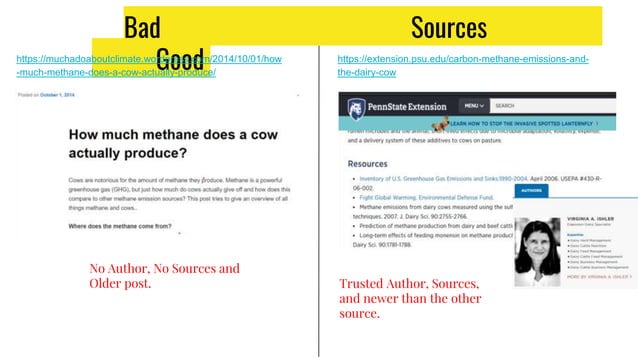 Documented essay presentation | PPT