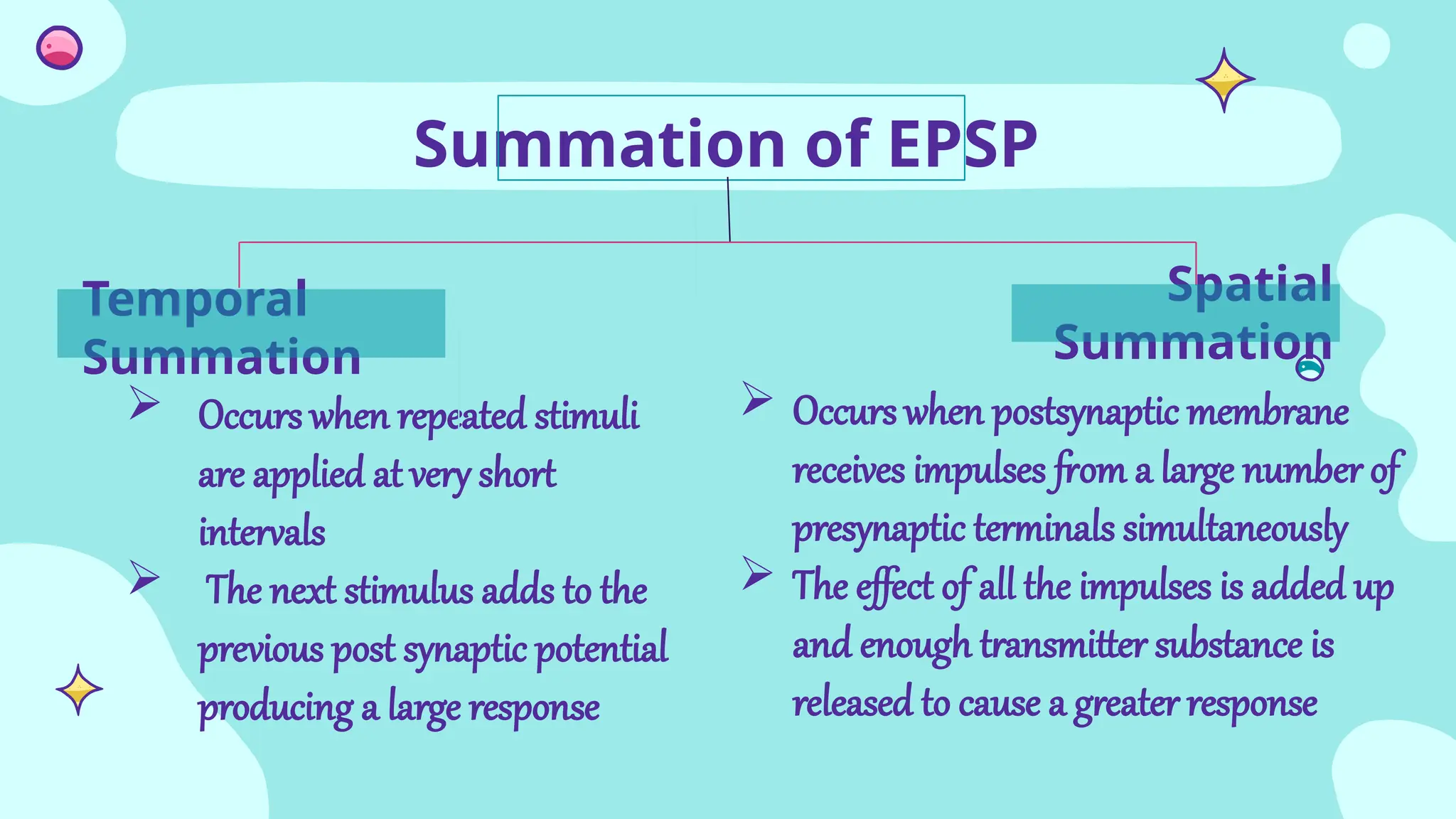 Synaptic transmission PPTEPSPIPSP by medical students | PPTX