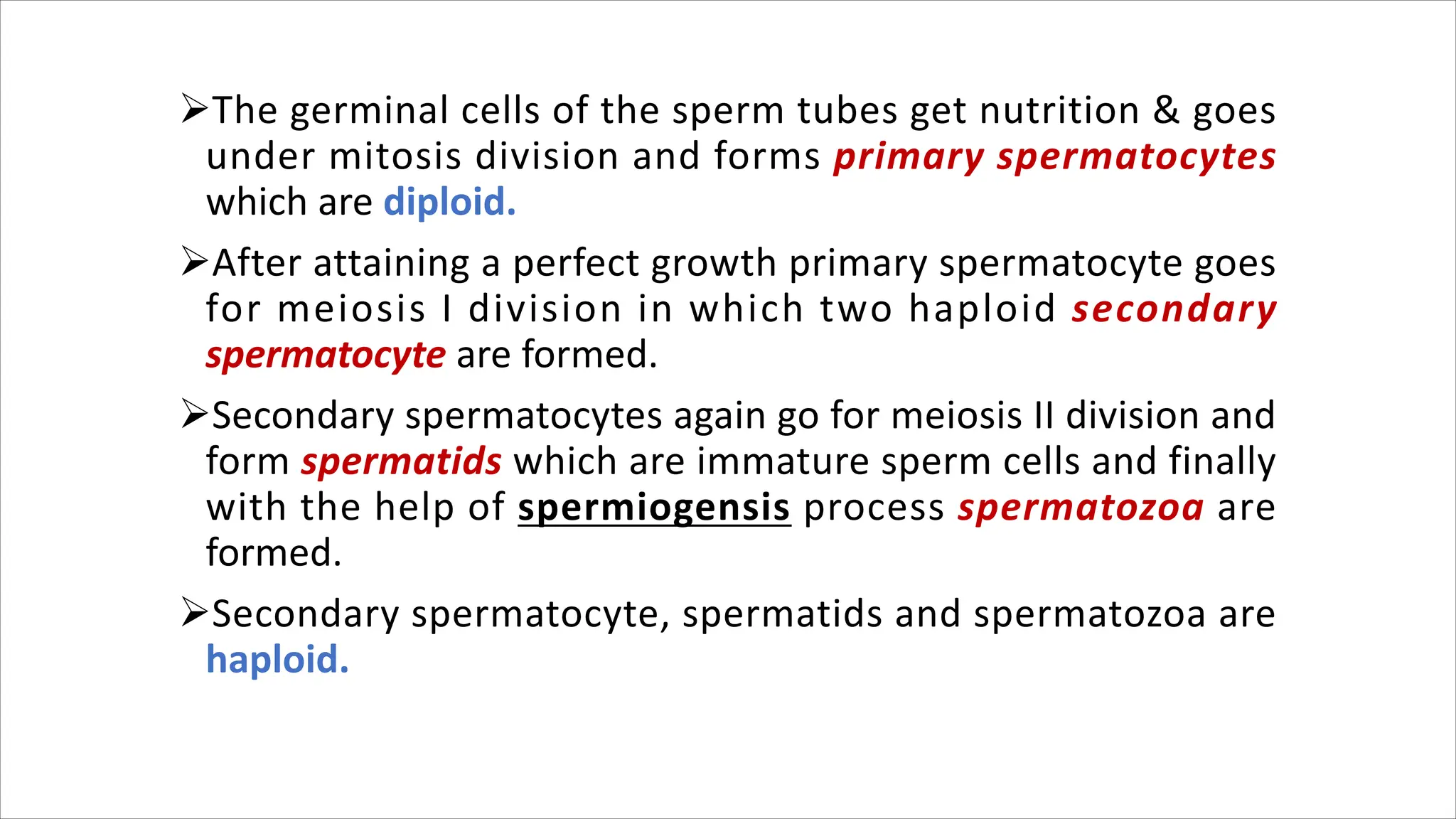 Insects Reproductive System & Organs of Copulation | PDF