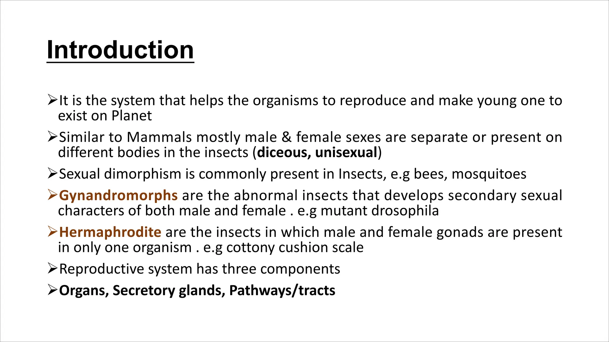 Insects Reproductive System & Organs of Copulation | PDF