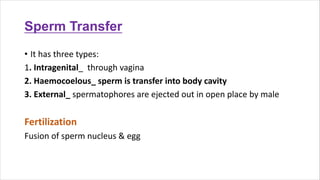 Insects Reproductive System & Organs of Copulation | PDF | Infertility ...