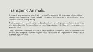 Recombinant DNA technology( Transgenic plant and animal) | PPTX