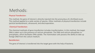 Recombinant DNA technology( Transgenic plant and animal) | PPT