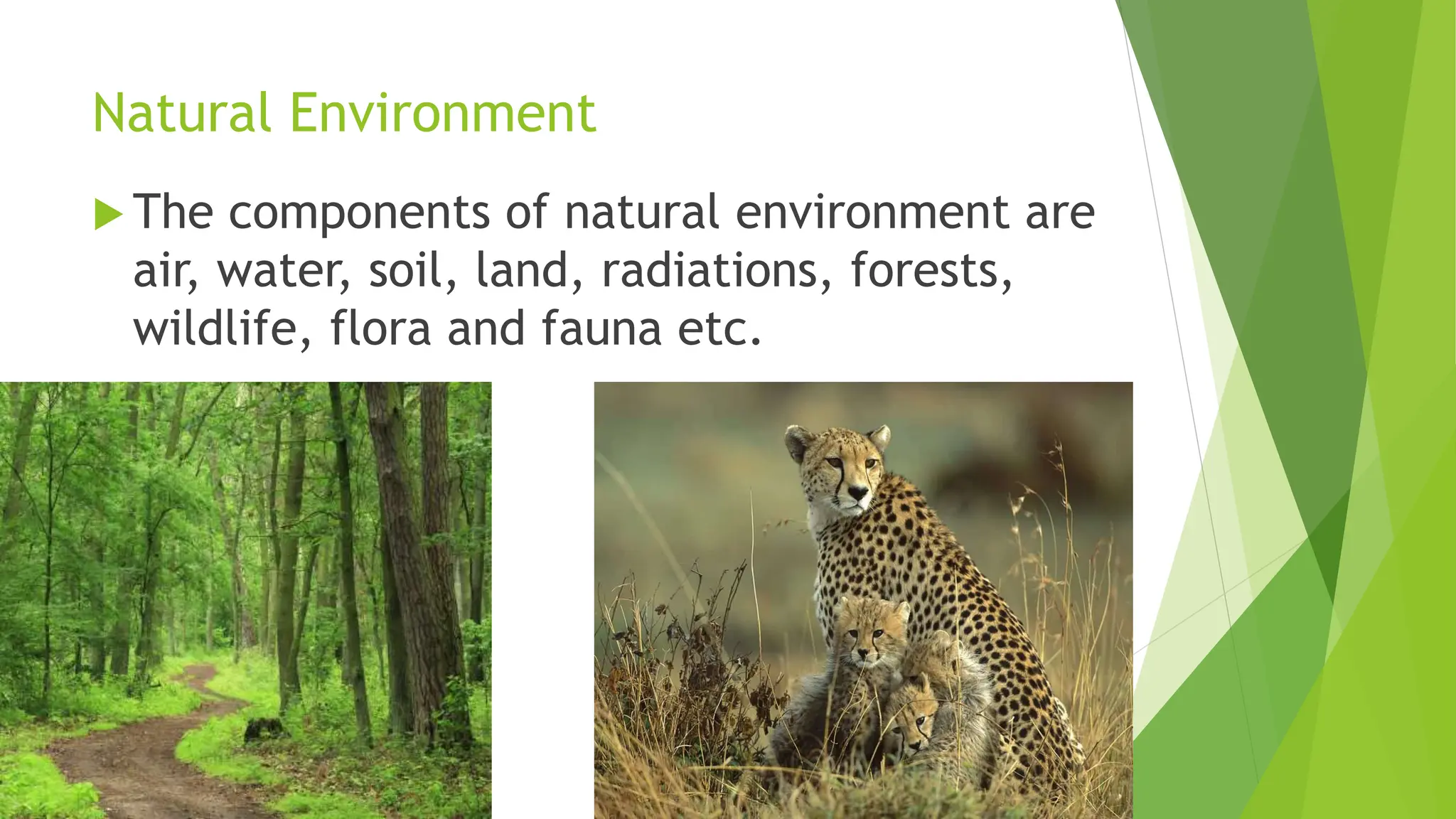 What is environment? The components of environment | PPT