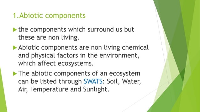 What is environment? The components of environment | PPT