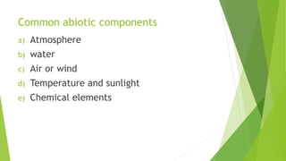 What is environment? The components of environment | PPT