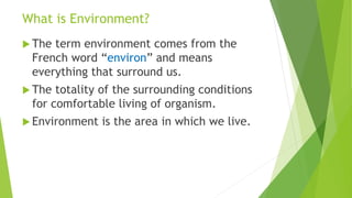 What is environment? The components of environment | PPT