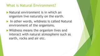 What is environment? The components of environment | PDF