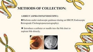 CLINICAL LABORATORY TECHNOLOGY -BILE SAMPLE COLLECTION TECHNIQUES | PPT