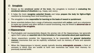 The nervous system | PPT