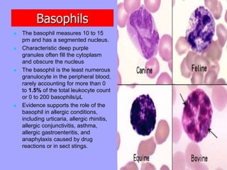 Document from Muhammad Usman blood...ppt