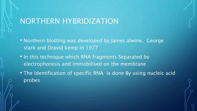 Recombination DNA Technology (Nucleic Acid Hybridization ) | PPTX