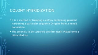 Recombination DNA Technology (Nucleic Acid Hybridization ) | PPTX