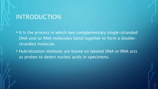 Recombination DNA Technology (Nucleic Acid Hybridization ) | PPTX