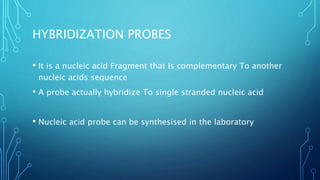 Recombination DNA Technology (Nucleic Acid Hybridization ) | PPTX