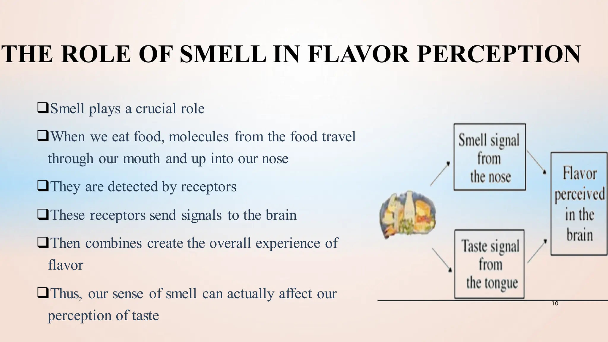 Science of Flavor Perception And Development | PDF