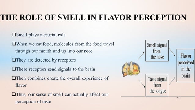 Science of Flavor Perception And Development | PPT