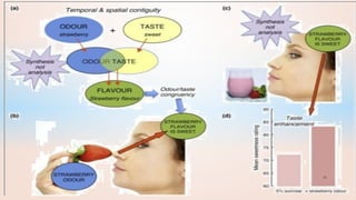 Science of Flavor Perception And Development | PDF