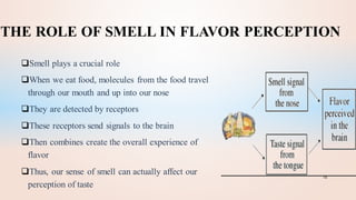 Science of Flavor Perception And Development | PPT