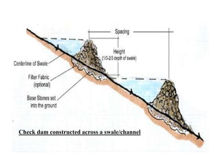 Check dams | PPT