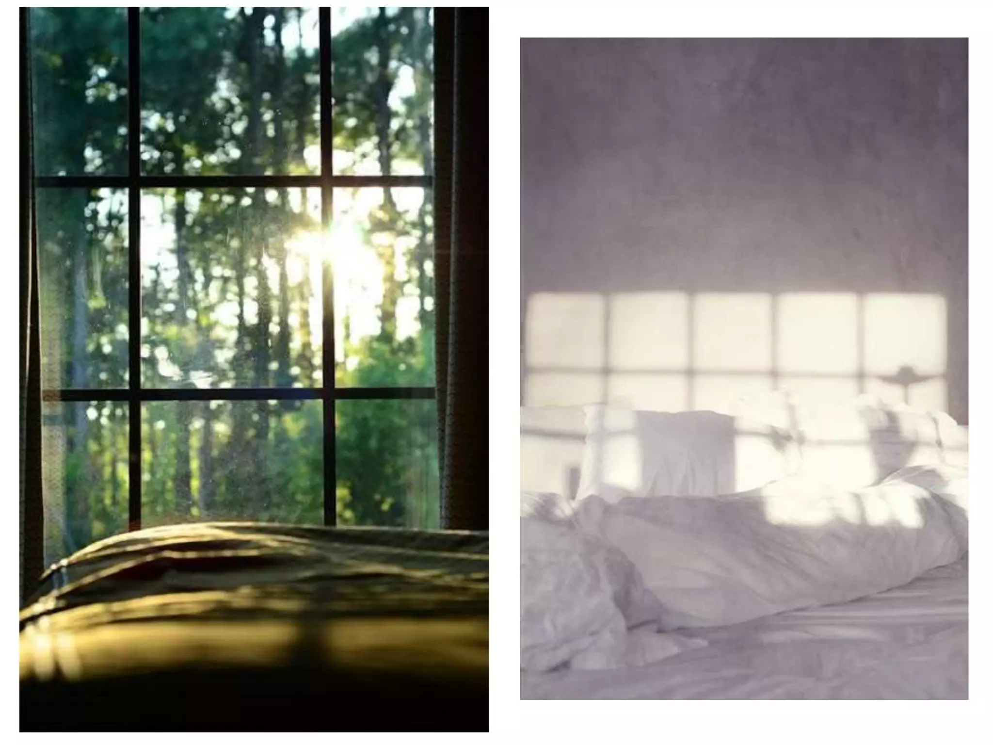 Documenting experiences | PPTX