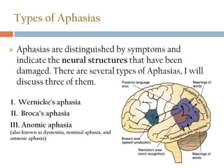 Documenting the Communication Gap | PPTX | Brain and Nervous System ...