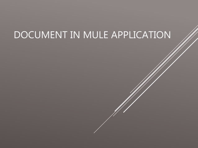 Document in mule application | PPT