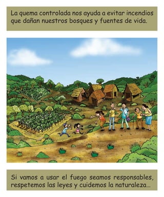 Cómo realizamos una quema controlada | PDF