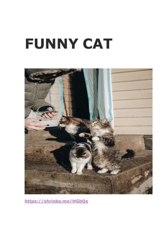 Funny cats videos | DOCX