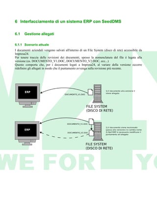 Documento seed dms | PDF