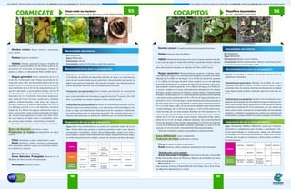 Documento Técnico Base del Inventario de Especies Vegetales Nativas del ...